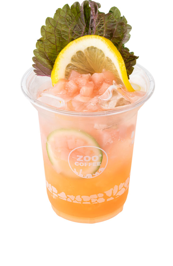 ZOO COFFEE中国区官方网站 - ZOOCOFFEE官方网站